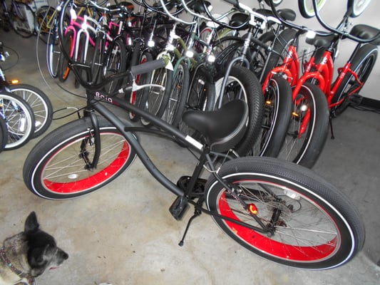 THE MIAMI BIKE SHOP - 23 Photos & 107 Reviews - 1800 Biscayne Blvd ...