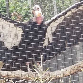 CALM ZOO - Updated September 2024 - 464 Photos & 160 Reviews - 10500 ...