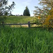 CLARK LAKE PARK - 69 Photos & 30 Reviews - Lakes - 12655-12749 SE 240th ...