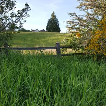 CLARK LAKE PARK - Updated January 2026 - 87 Photos & 34 Reviews - 12655 ...