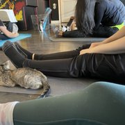 THE CATCADE - 261 Photos & 108 Reviews - 1235 W Belmont Ave, Chicago ...