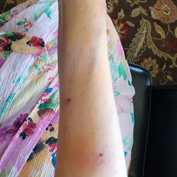 BANNER DEL E WEBB MEDICAL CENTER - 51 Photos & 208 Reviews - 14502 West ...