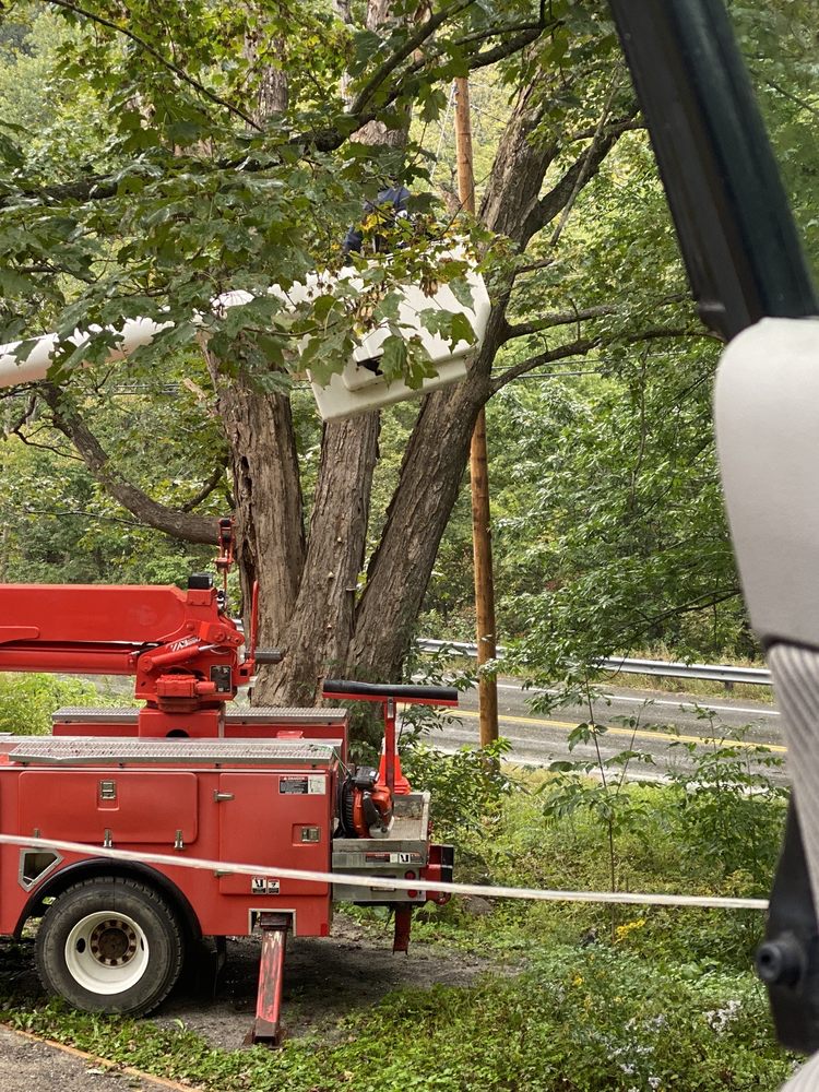 BRYANTS TREE SERVICE - Updated May 2025 - Augusta, Maine - Snow Removal ...