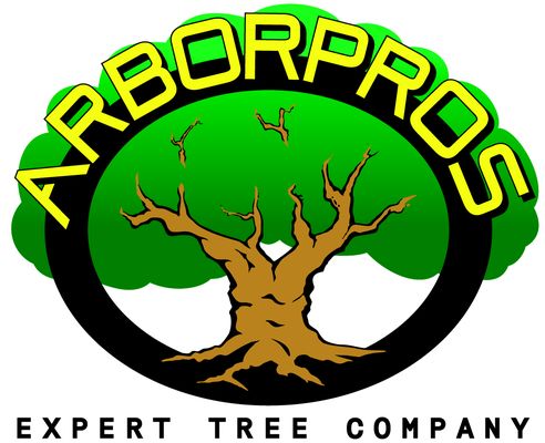 ARBOR PROS EXPERT TREE COMPANY - Updated July 2025 - 38 Photos - 148 ...