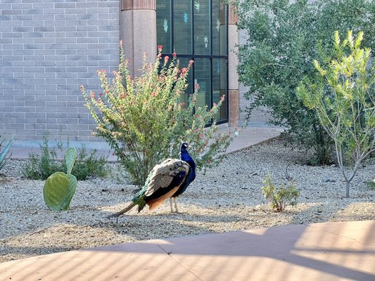 GLENDALE PUBLIC LIBRARY - Updated October 2025 - 89 Photos & 21 Reviews ...