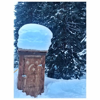 THE YURT AT SOLITUDE - 37 Photos & 22 Reviews - American (Traditional ...