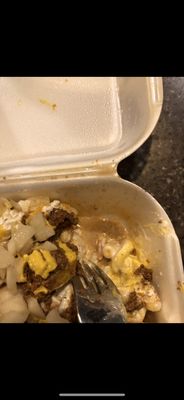 FAIRPORT HOTS - 25 Photos & 43 Reviews - Burgers - 1226 Fairport Rd ...