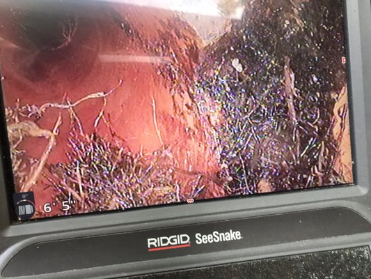 ELMER’S HOME SERVICES - Updated August 2025 - 52 Photos & 120 Reviews ...