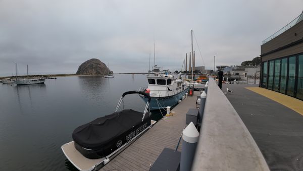 MORRO BAY T PIER SEA OTTER VIEWING AREA - Updated October 2025 - 41 ...