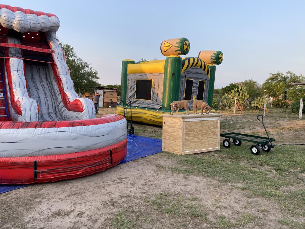 TYSON & ZEUS RENTAL - Updated June 2024 - Mission, Texas - Bounce House ...