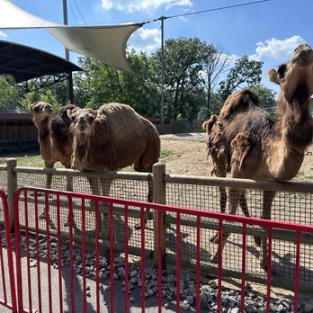 GRANT’S FARM - Updated May 2025 - 831 Photos & 404 Reviews - 10501 ...