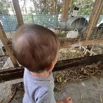 MARANDO FARMS & RANCH - Updated July 2024 - 280 Photos & 101 Reviews ...