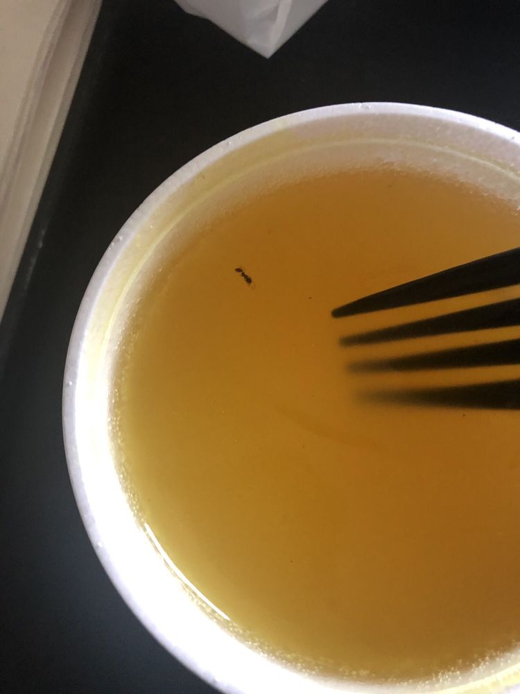 TAI YAN PALACE - 14 Photos & 12 Reviews - Chinese - 11925 Tecumseh Rd E ...