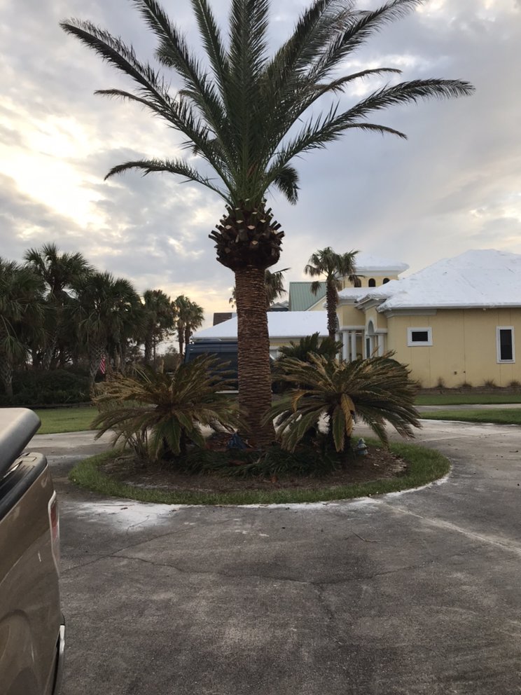 CUSTOM PALMS - Updated October 2024 - 4818 Sierra Dr, Pensacola ...
