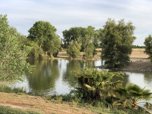 NORTH NATOMAS REGIONAL PARK - Updated May 2024 - 88 Photos & 10 Reviews ...