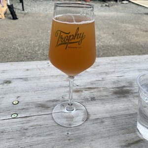 TROPHY BREWING CO - 85 Photos & 73 Reviews - 656 Maywood Ave, Raleigh ...