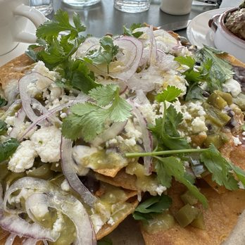 FIG TREE VENICE - Updated May 2024 - 971 Photos & 613 Reviews - 429 ...