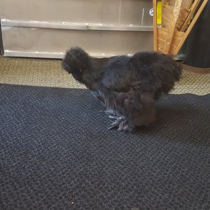 WILD RUMPUS - 85 Photos & 117 Reviews - Bookstores - 2720 W 43rd St ...