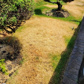 VANDJ LANDSCAPING & SERVICES - Updated January 2026 - 14 Photos & 40 ...