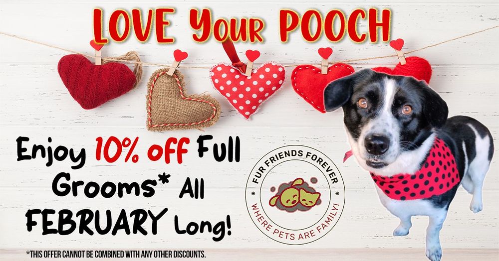 FUR FRIENDS FOREVER - Updated October 2025 - 10620 Clemson Blvd, Seneca ...