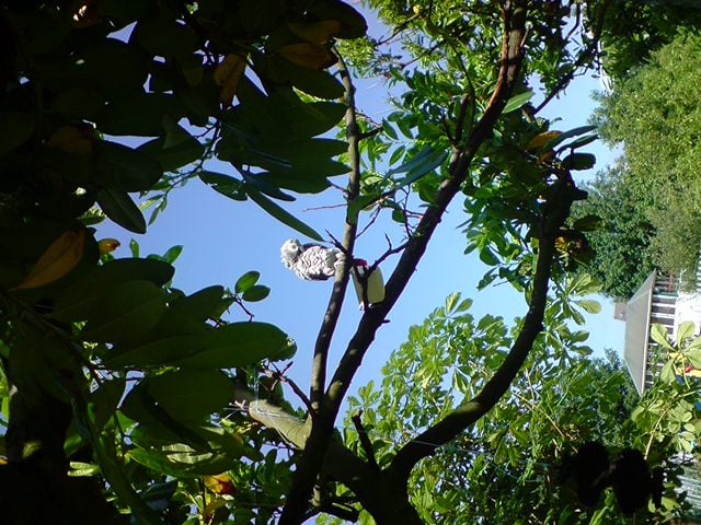 THE BRIDGE CAFE - Updated August 2024 - St Georges Road, Millom ...