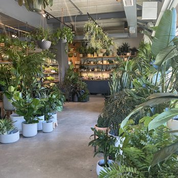 SPROUT HOME - Updated June 2024 - 202 Photos & 216 Reviews - 745 N ...