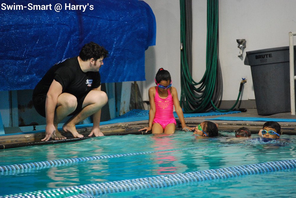 SWIM-SMART @ HARRY’S DIVE SHOP - Updated October 2025 - 10 Photos ...