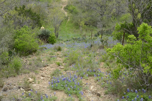 SHAFFER BEND RECREATION AREA - Updated January 2026 - 28 Photos - 706 ...