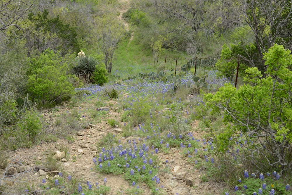 SHAFFER BEND RECREATION AREA - Updated December 2024 - 28 Photos - 706 ...