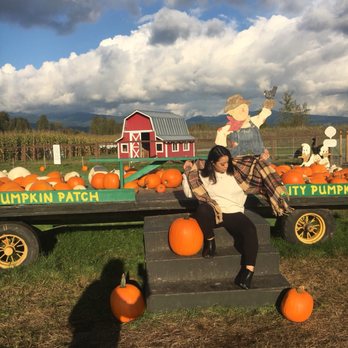 LAITY PUMKIN PATCH - Updated December 2025 - 59 Photos & 15 Reviews ...