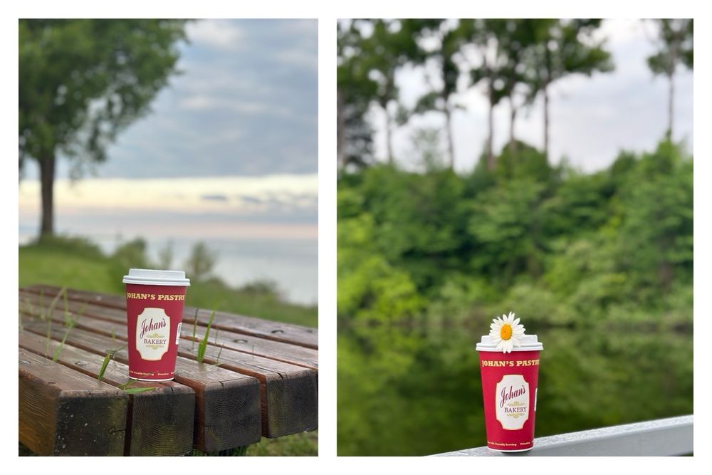 JOHAN’S PASTRIES - Updated August 2025 - 102 Photos & 97 Reviews - 565 ...