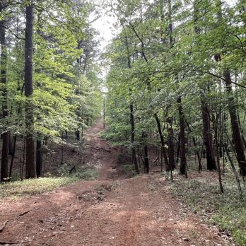 TYLER STATE PARK - Updated November 2024 - 145 Photos & 74 Reviews ...