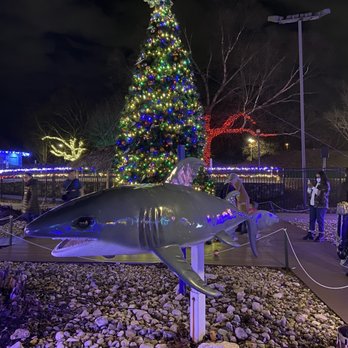 CAMERON RUN REGIONAL PARK - Updated December 2025 - 134 Photos & 64 ...