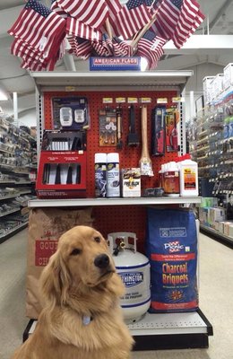 REBOY SUPPLY - Updated October 2025 - 1280 Maple Rd, Elma, New York ...