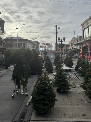 SEATTLE CHRISTMAS TREE - Updated December 2025 - 13 Photos - 101 Pike ...