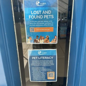LONG BEACH ANIMAL CARE SERVICES - Updated October 2025 - 105 Photos ...