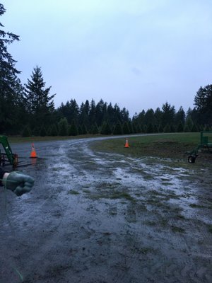 JONES TREE FARM - Updated December 2025 - 1795 NE Sawdust Hill Rd ...