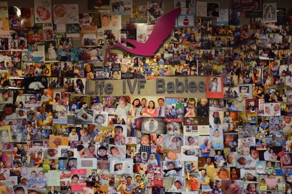 LIFE IVF CENTER - Updated December 2025 - 79 Photos & 247 Reviews ...