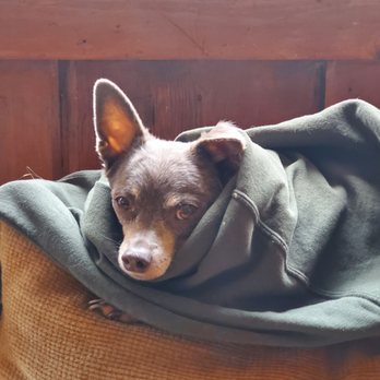 BELDEN TOWN & LODGE RESORT - Updated September 2025 - 42 Photos & 51 ...