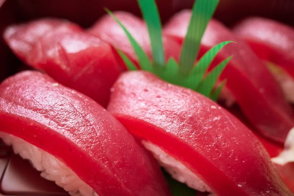 TADASHI - 1302 Photos & 463 Reviews - 98-199 Kamehameha Hwy, Aiea, HI ...