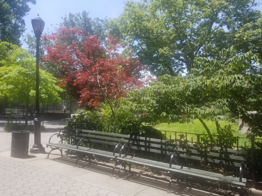 CARROLL PARK - Updated July 2024 - 38 Photos & 20 Reviews - 375 Court ...