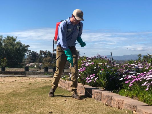 GREEN FLASH PEST & TERMITE CONTROL - Updated December 2025 - 26 Photos ...