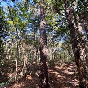 RED BUG LAKE PARK - Updated June 2025 - 300 Photos & 40 Reviews - 3600 ...