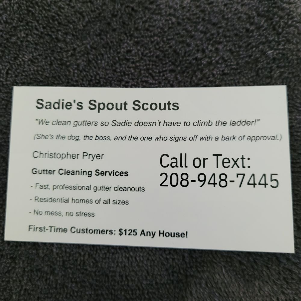 SADIE’S SPOUT SCOUTS - Updated June 2025 - Request a Quote - Nampa ...