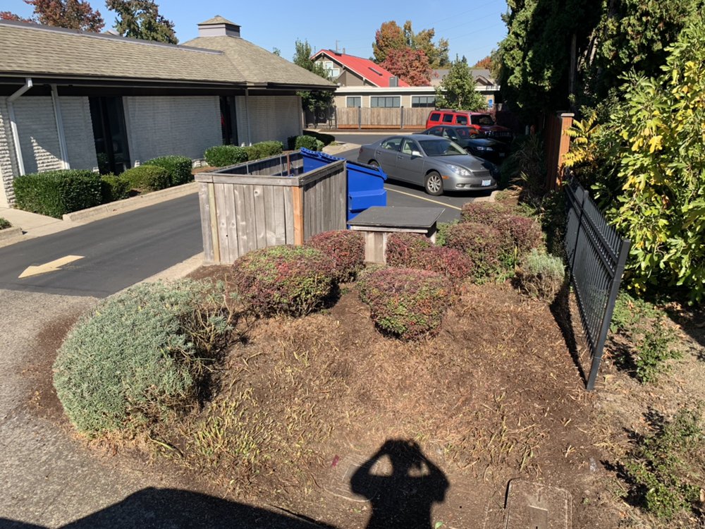 EVOLUTION LANDSCAPING - Updated June 2025 - 28 Photos - Eugene, Oregon ...