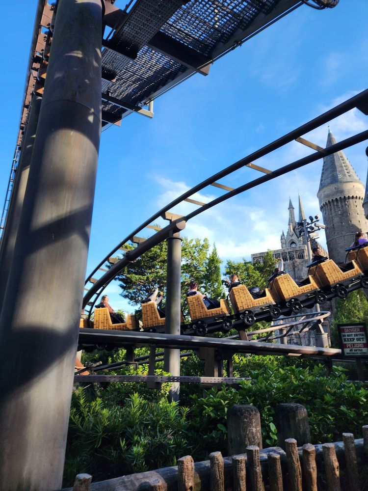 FLIGHT OF THE HIPPOGRIFF - 65 Photos & 76 Reviews - 1000 Universal ...