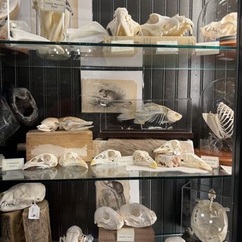 PAXTON GATE - Updated October 2025 - 198 Photos & 167 Reviews - 4204 N ...