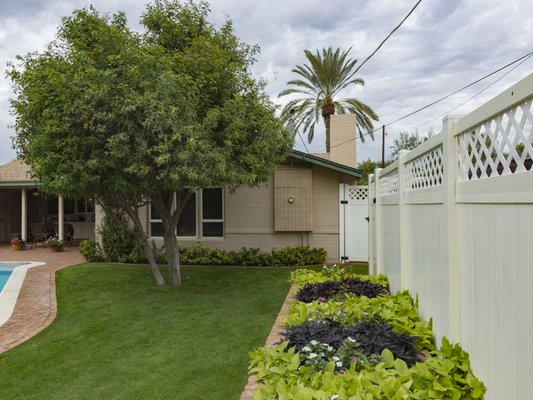 TREE PROS - Updated October 2025 - 52 Photos & 226 Reviews - 2836 W ...