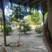 FLOWER FARM CAFE - 274 Photos & 243 Reviews - 9280 Horseshoe Bar Rd ...