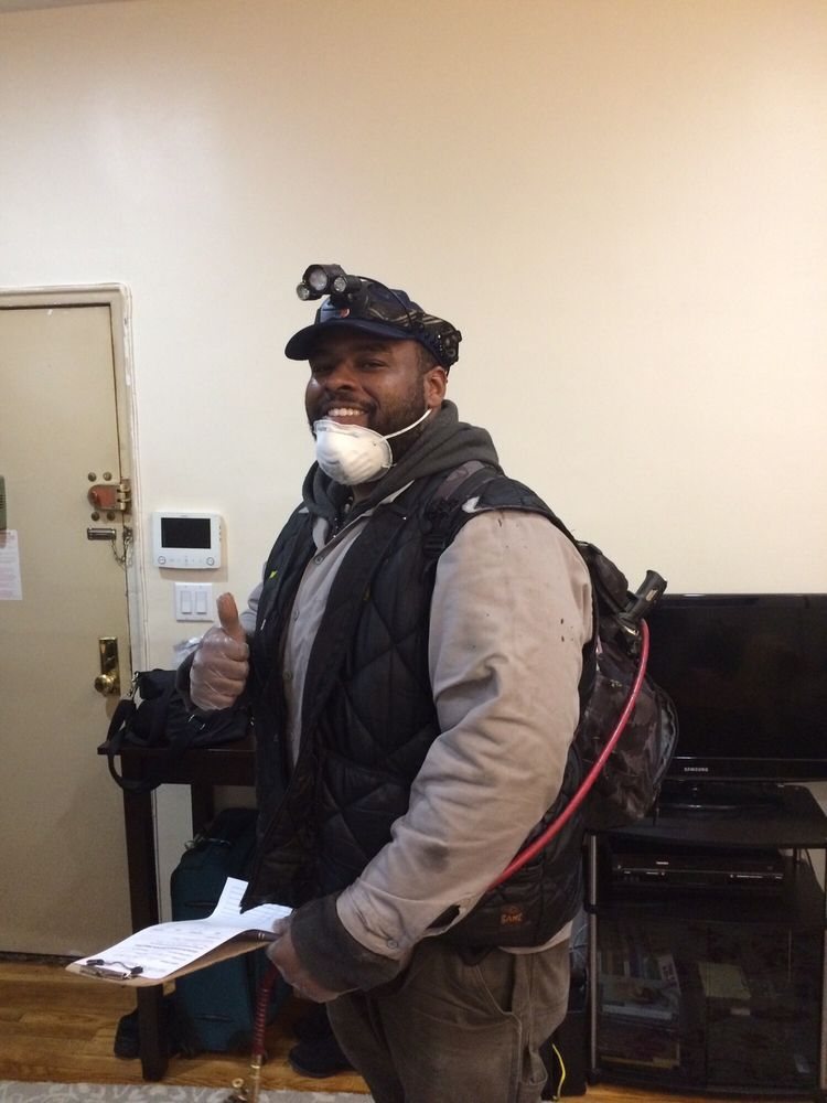 SAFETY FIRST PEST CONTROL - Updated August 2025 - 94-15 Jamaica Ave ...